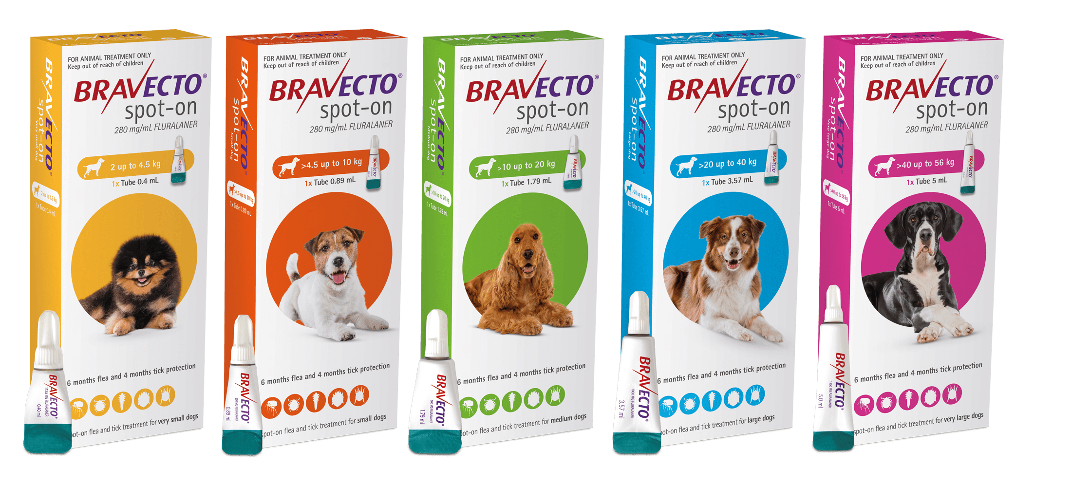 BRAVECTO® (fluralaner) | Long lasting flea and tick treatment for dogs ...