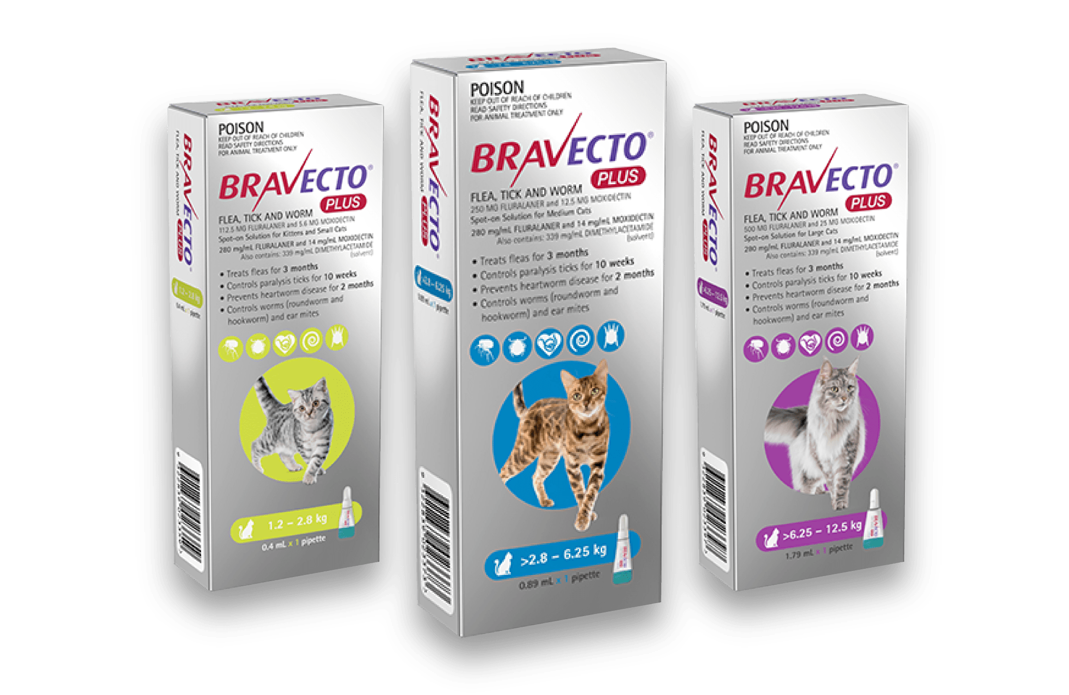 Parasites | Defending Our Furry Friends | Bravecto NZ