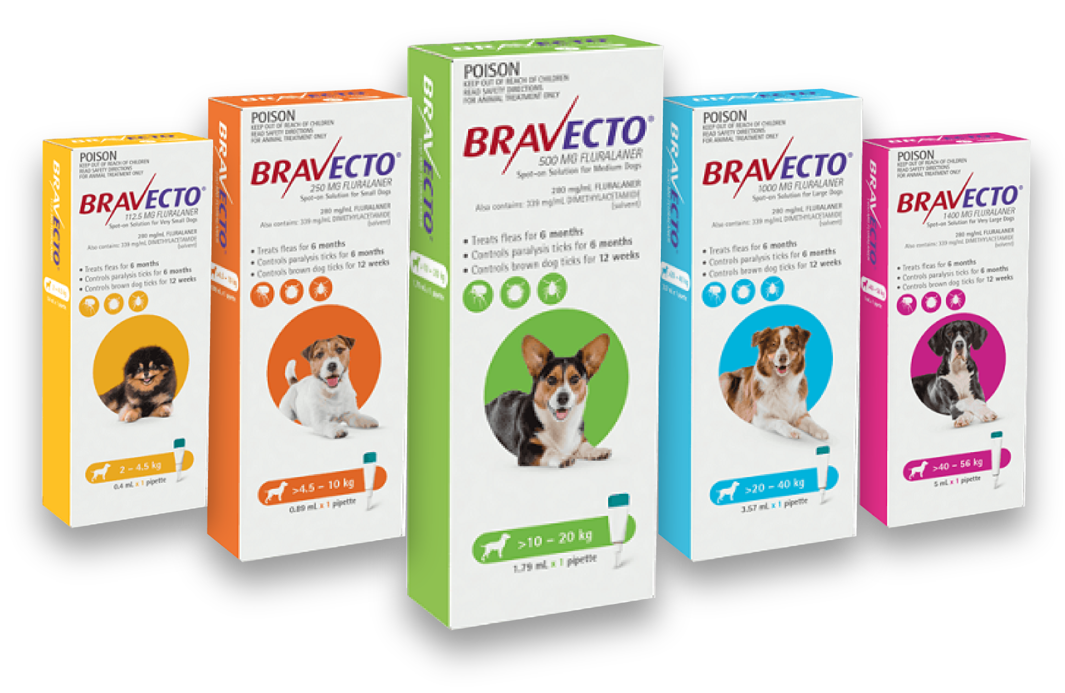 Parasites | Defending Our Furry Friends | Bravecto NZ