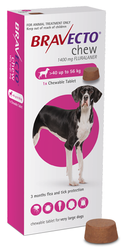 Bravecto Chew for Dogs | Flea & Tick Protection | Bravecto NZ