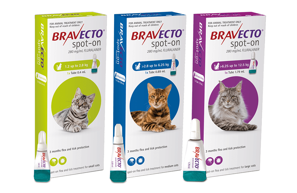 Bravecto | Long Lasting Parasite Protection For Dogs & Cats | NZ