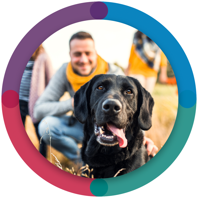 Ticks | Protecting Dogs And Cats From Ticks | Bravecto NZ