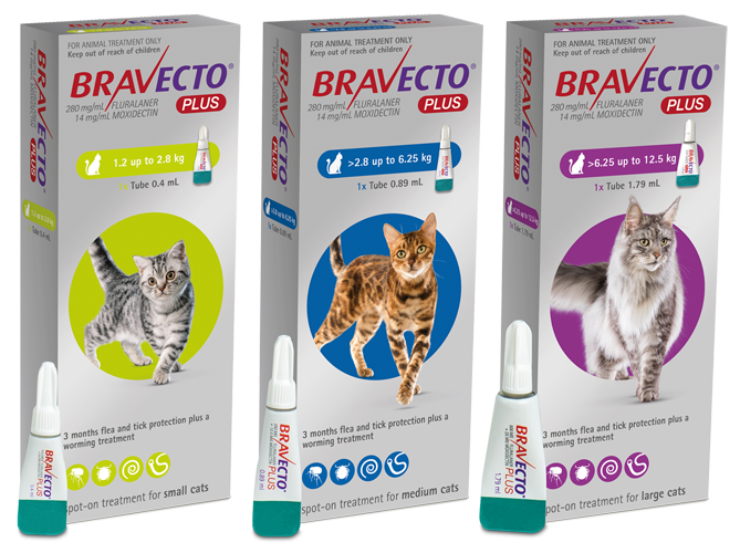 Bravecto Plus For Cats | Flea, Tick And Worm Treatment