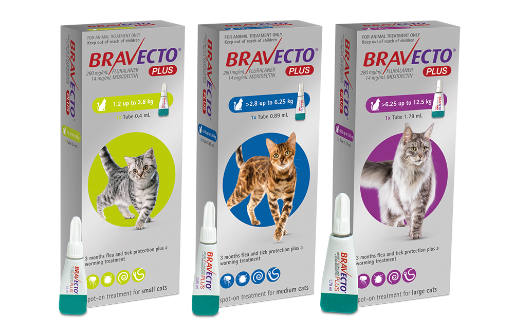 Bravecto | Long Lasting Parasite Protection For Dogs & Cats | NZ