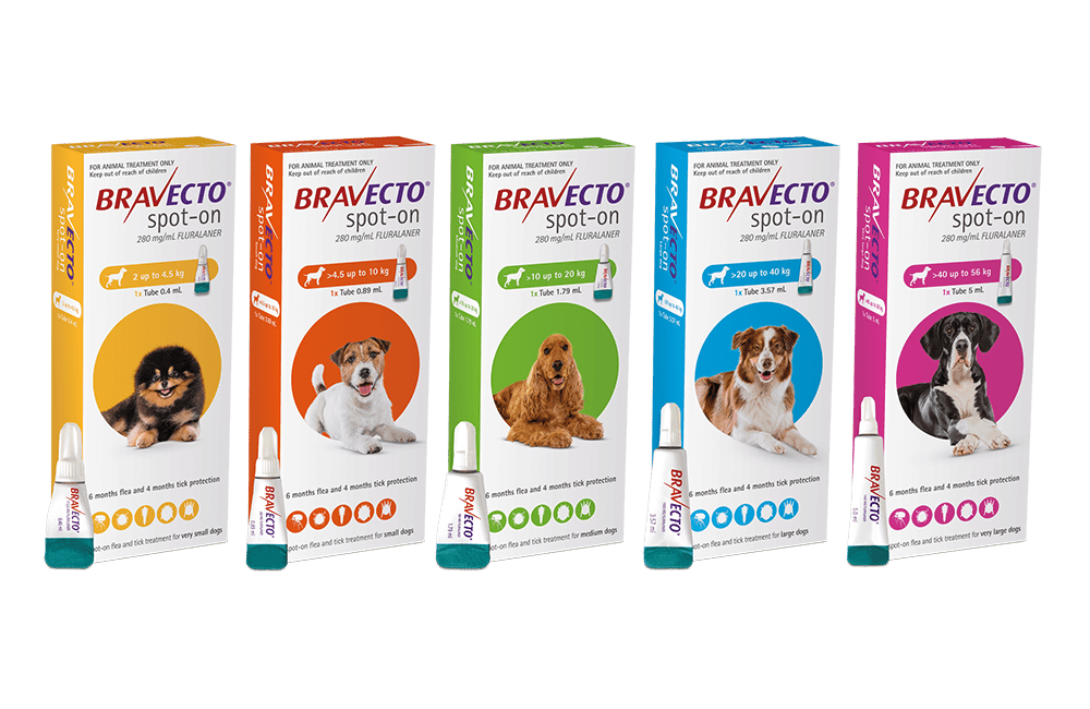 Bravecto | Long Lasting Parasite Protection For Dogs & Cats | NZ