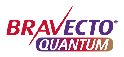 Bravecto Quantum | Flea & Tick Protection | Bravecto NZ
