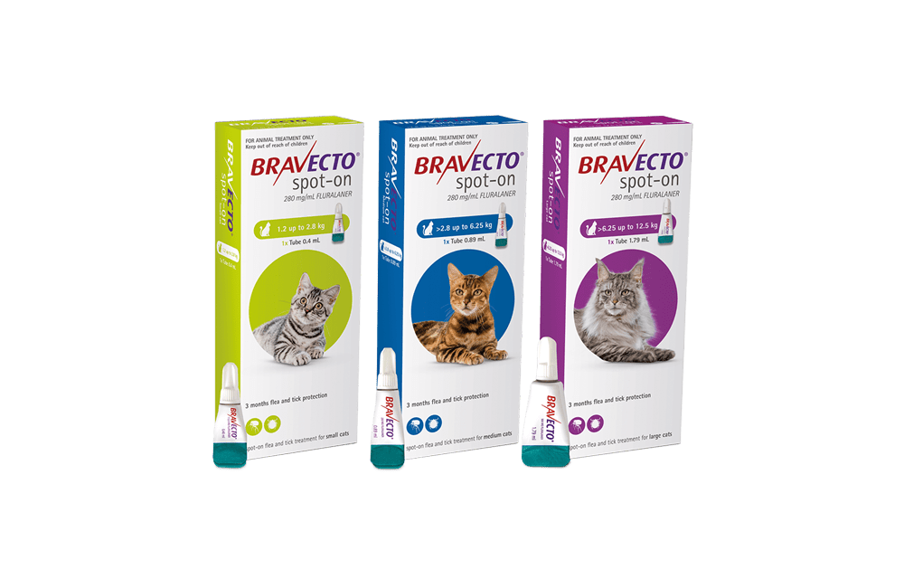 Bravecto | Long Lasting Parasite Protection For Dogs & Cats | NZ