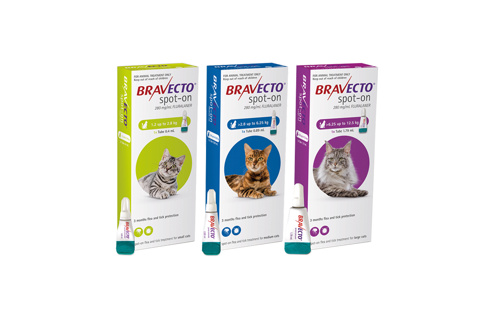 Bravecto | Long Lasting Parasite Protection For Dogs & Cats | NZ