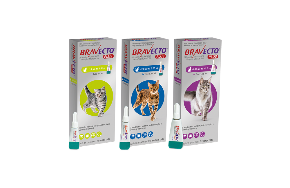 Bravecto | Long Lasting Parasite Protection For Dogs & Cats | NZ