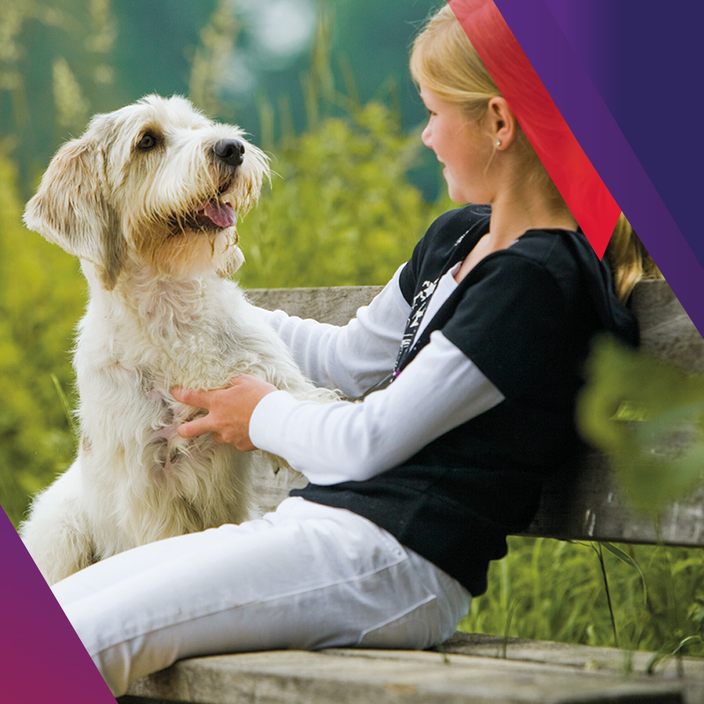 Ticks | Protecting Dogs And Cats From Ticks | Bravecto NZ